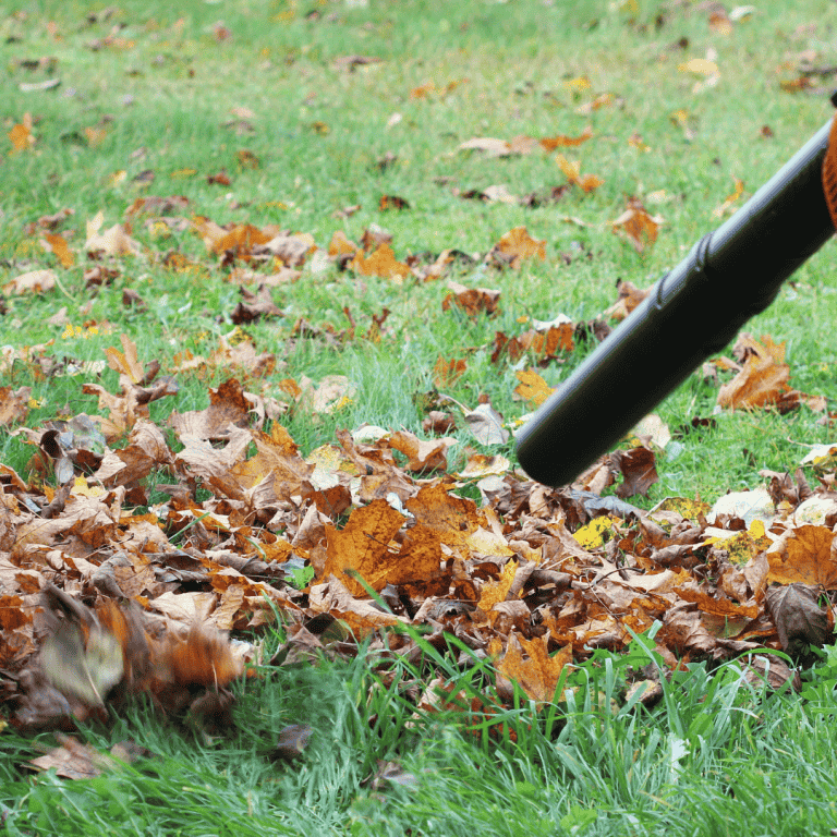 Leaf Removal Services - Leaf Cleanup Service | JiffyJunk.com